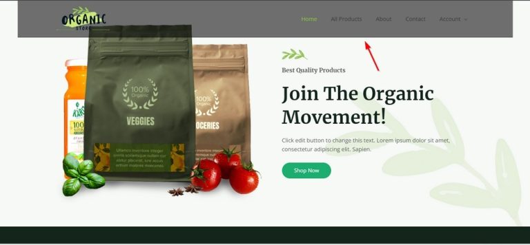 A Step-By-Step Guide to Creating Stunning Headers with Astra - WPCrafter