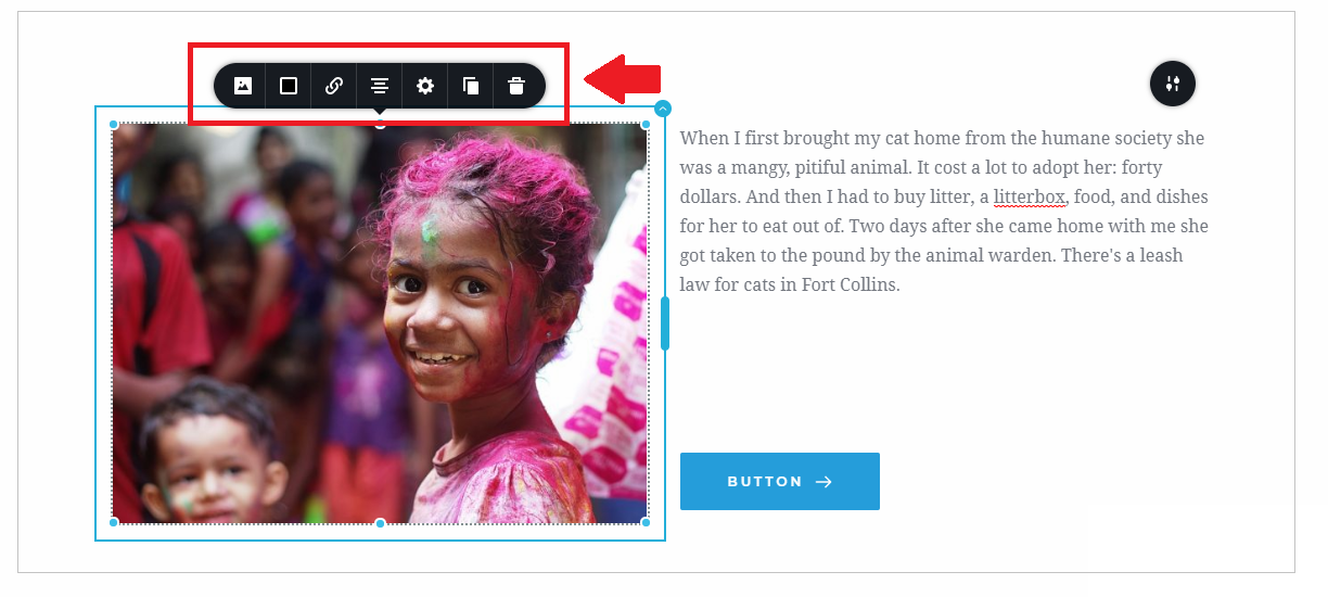 Brizy Review (February 2024) - Worth It?