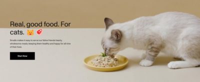 The Complete Guide to Creating Opt-in Pages With Examples