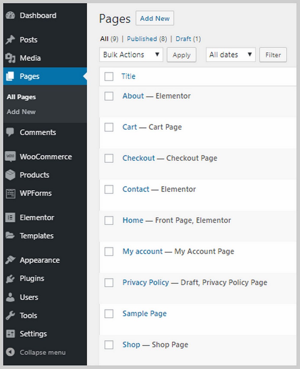 How to Build an Ecommerce Website With WordPress
