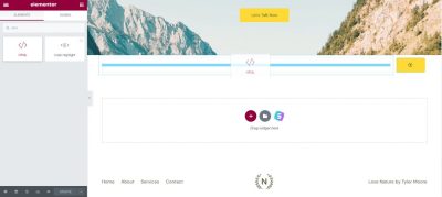 3 Easy Ways To Add Scripts To Elementor Website